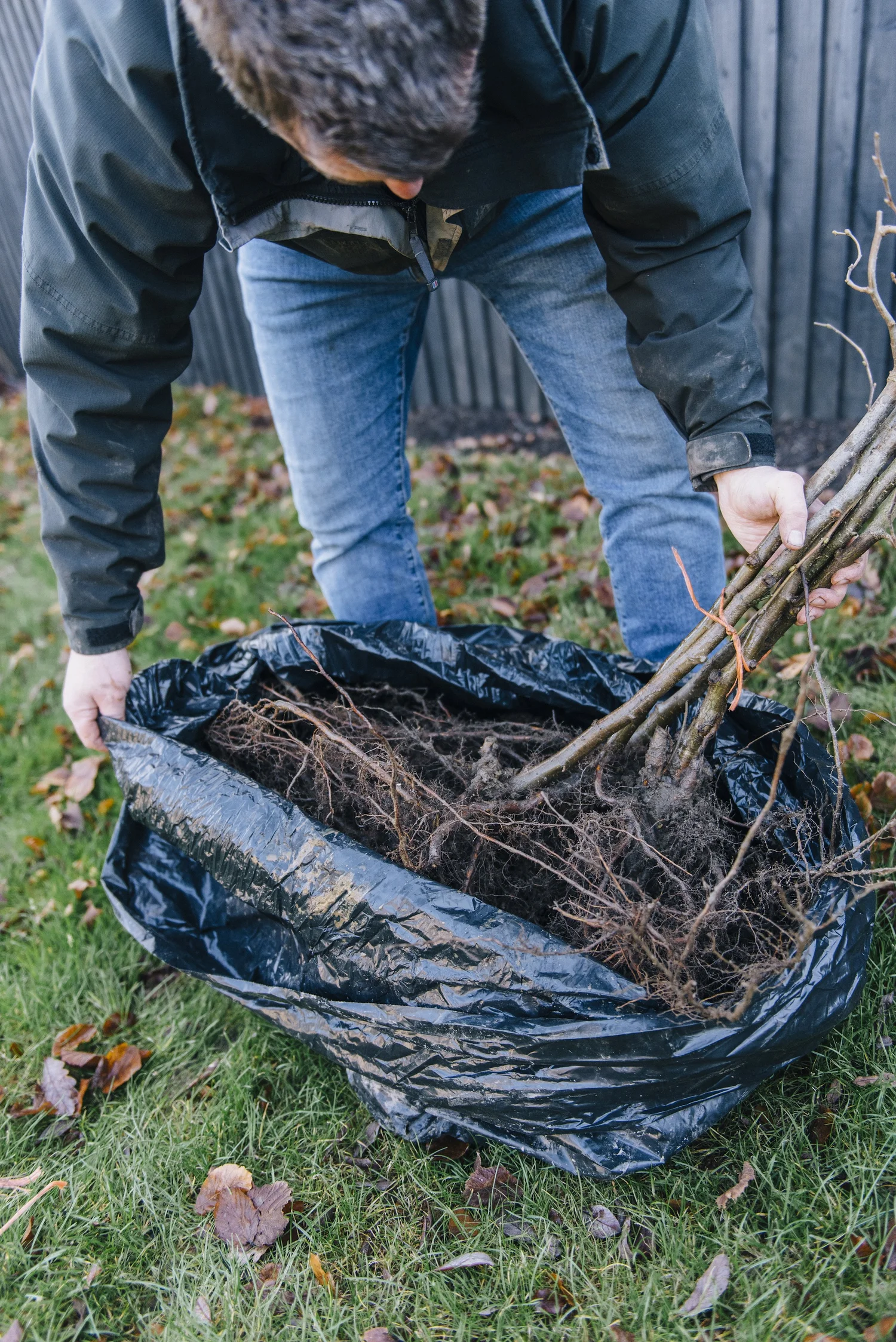 How to plant bare root trees — Victoria Wade