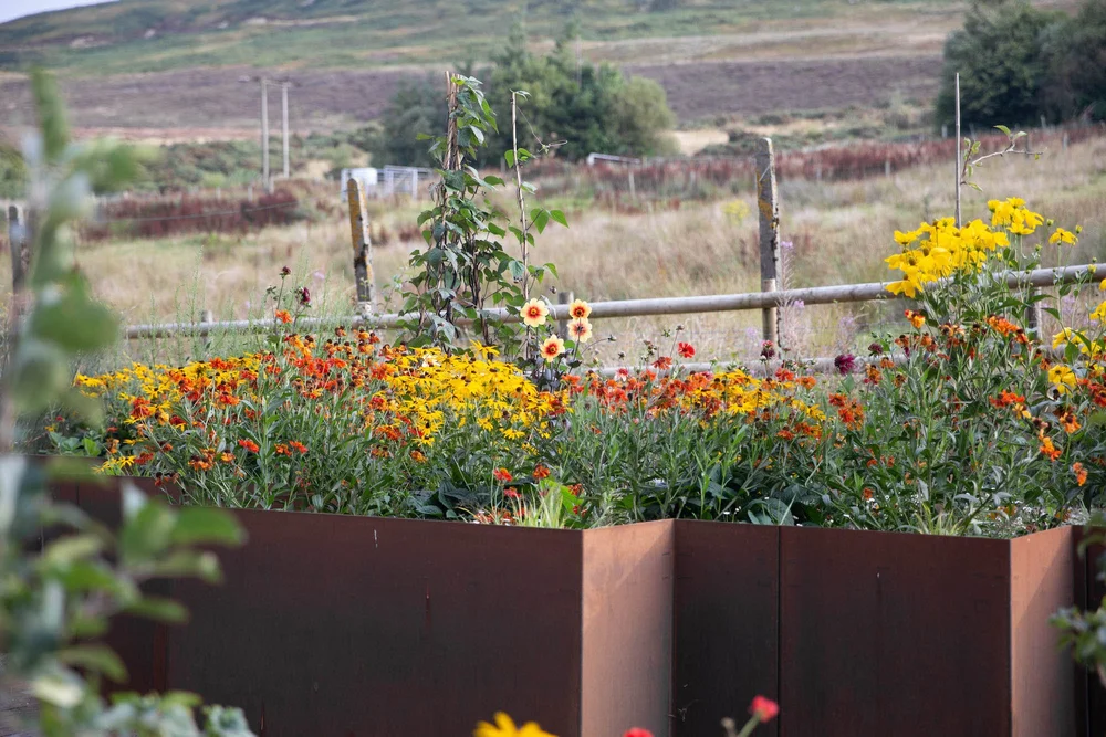 RHS Community Garden revisited — Victoria Wade