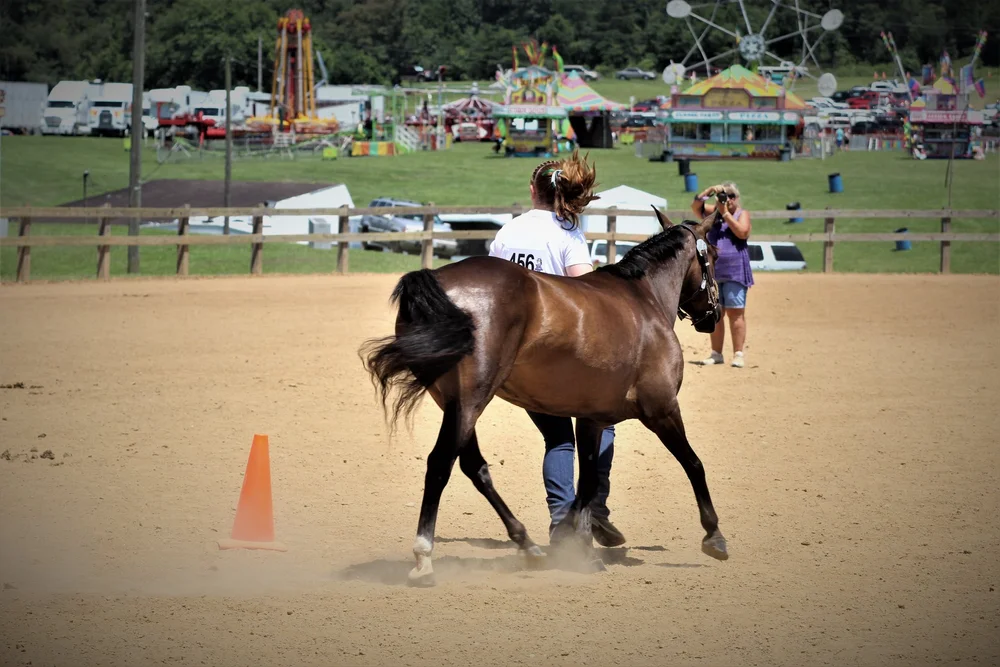 Jackson County Junior Fair | All Events — Jackson County Junior Fair