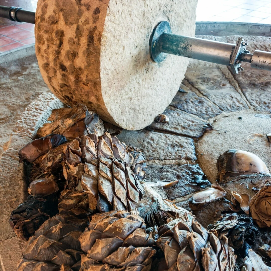 Northside Distilling Co. — All About Agave