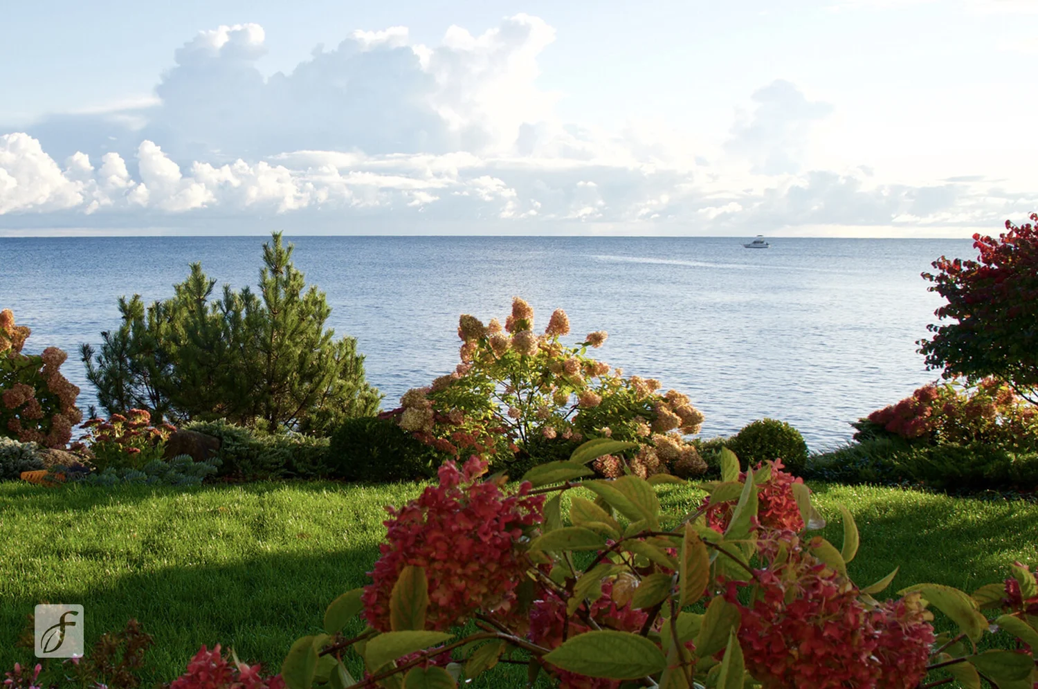 Blog 2 — FUSSY GARDENER, Home & Garden Design