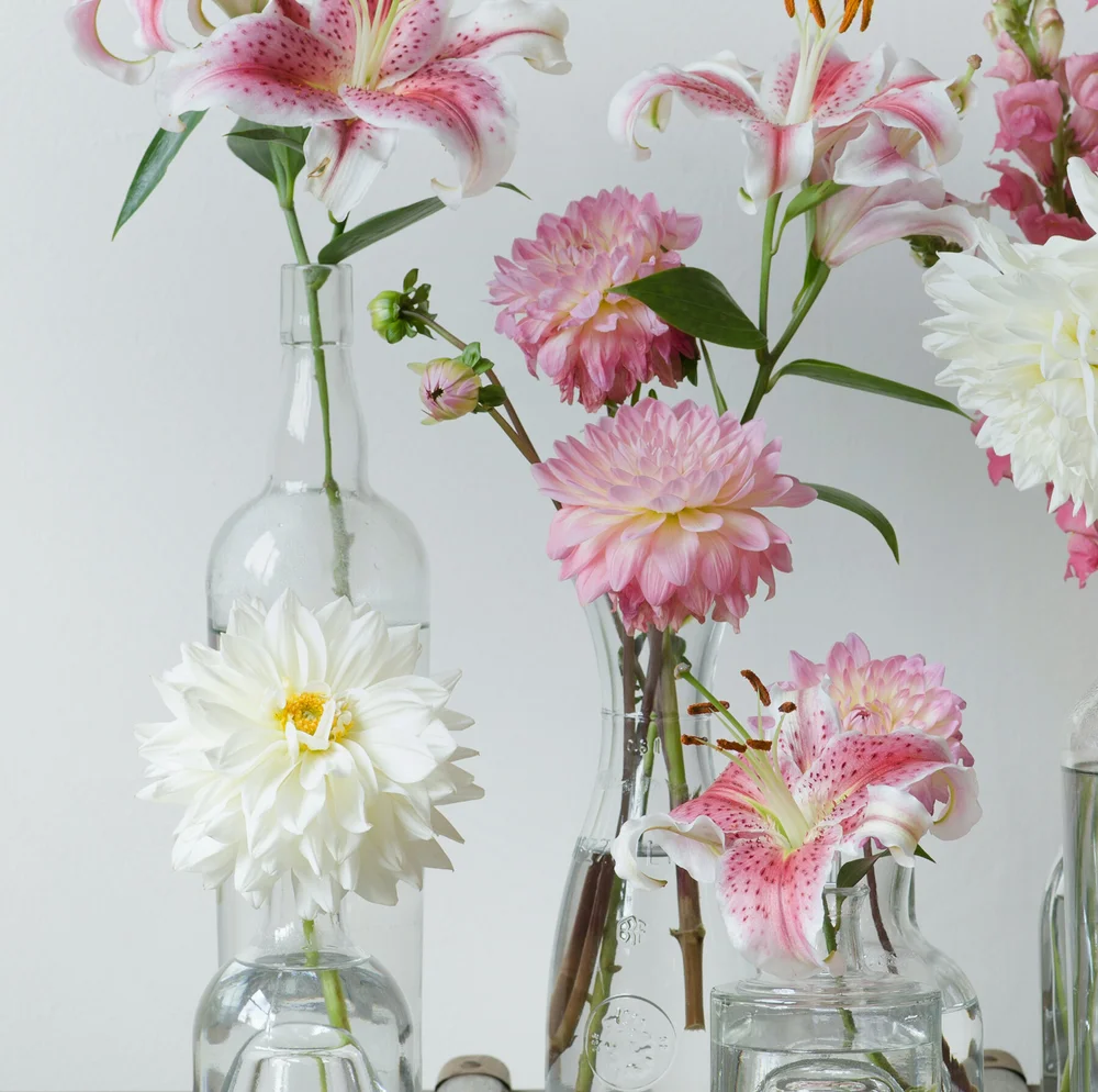 Blog 2 — FUSSY GARDENER, Home & Garden Design