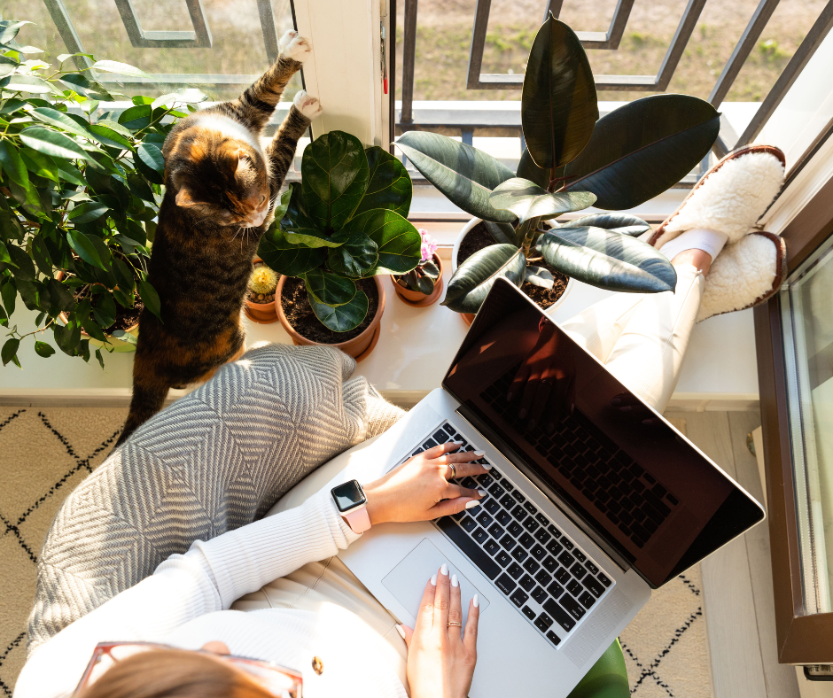 Intuitive Development & Akashic Records Course — Sam Kirouac Soul Healing