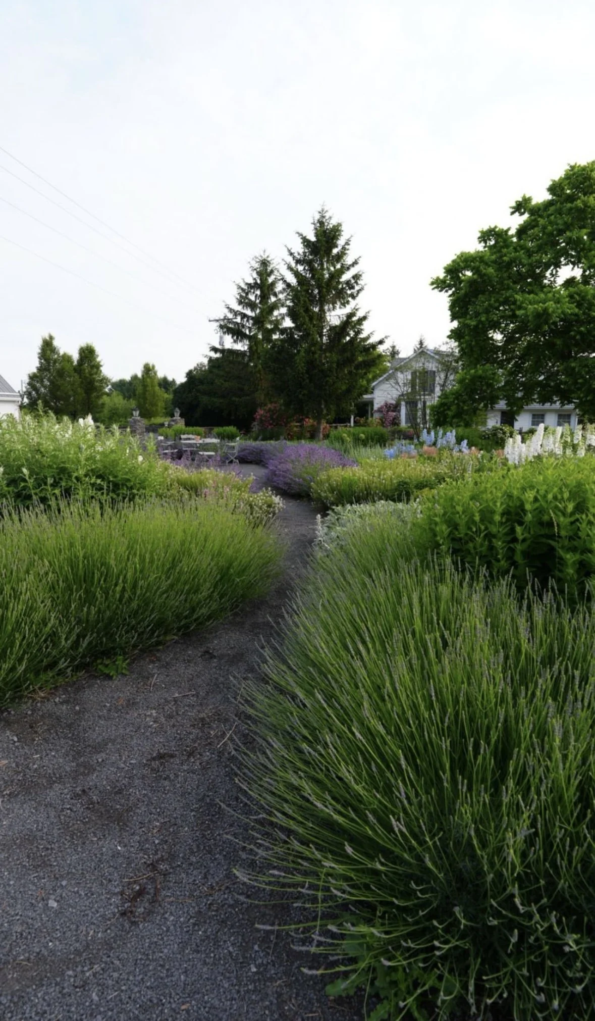 Kate Crothers Design