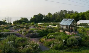 Kate Crothers Design