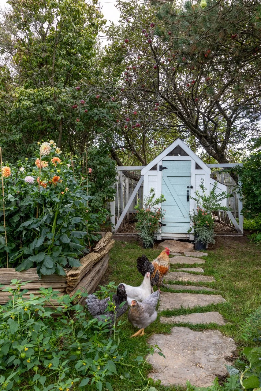 Kate Crothers Design