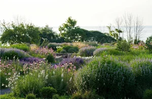 Kate Crothers Design