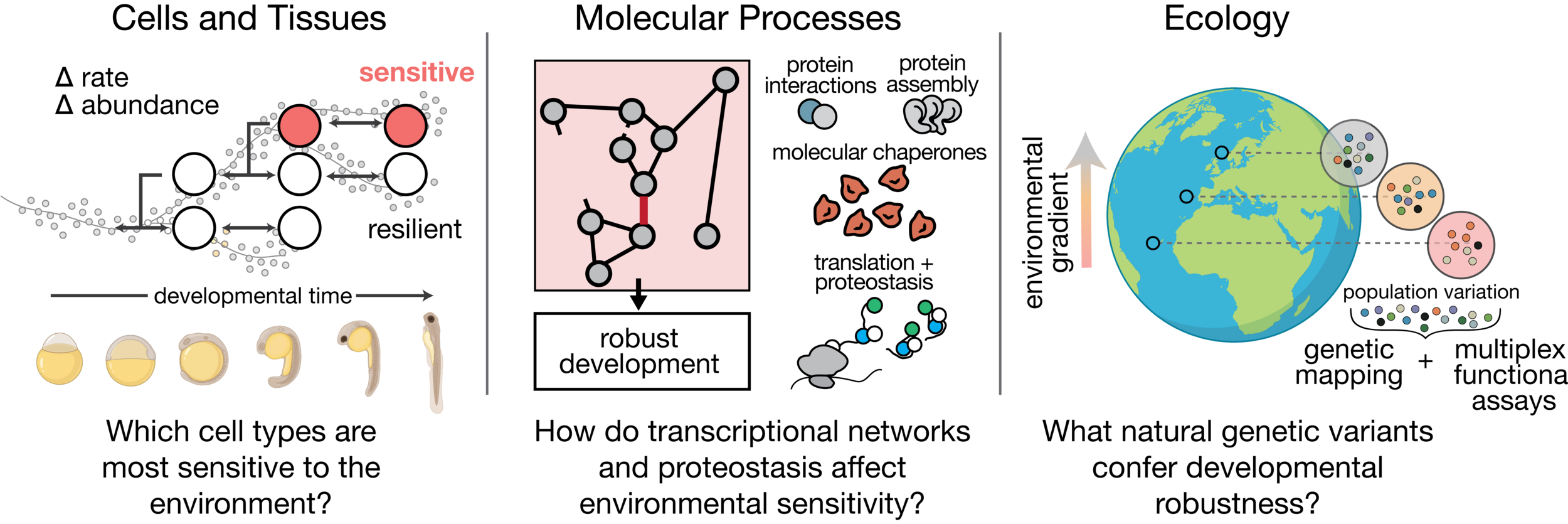 Blog 2 — Dorrity Lab