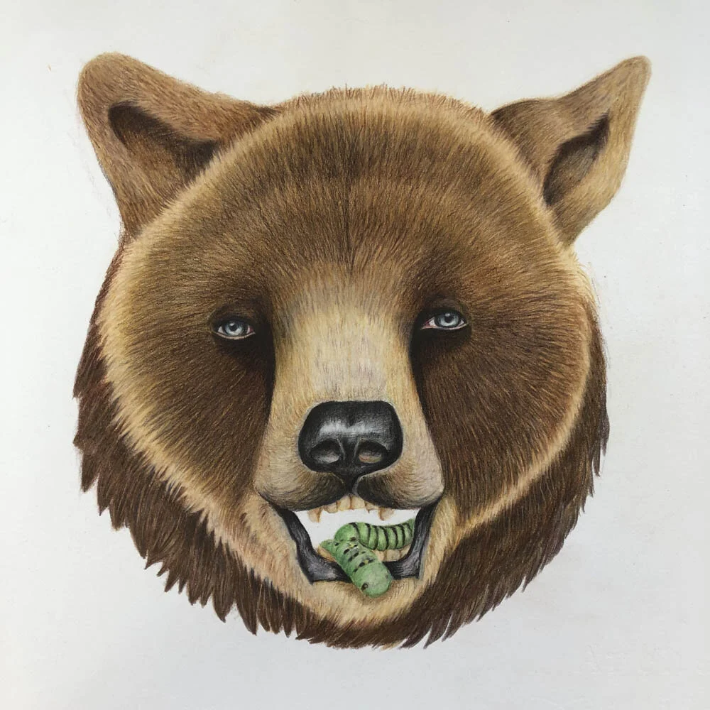 Japanese Visual Artist draws in colour pencils and runs in the vast field in Canada 神戸出身の日本人 ...