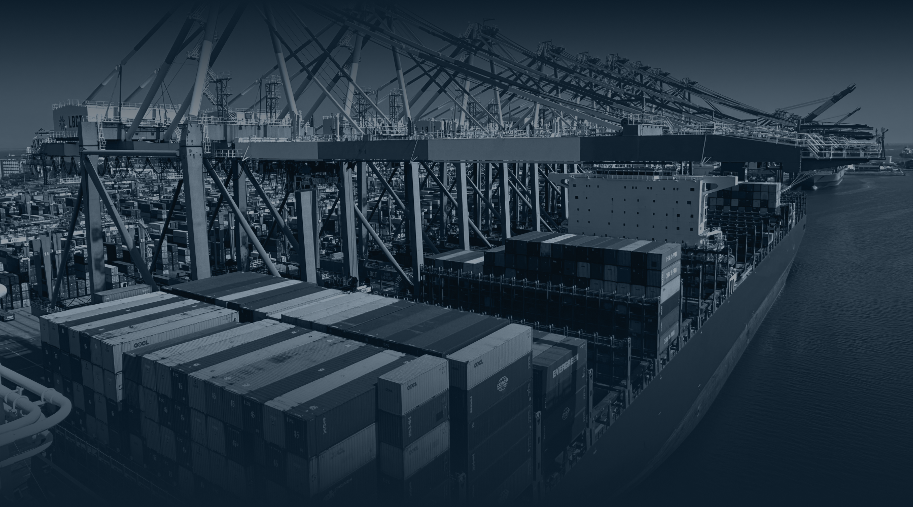 True North Group LLC