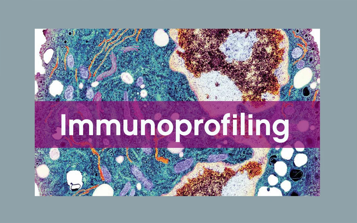 La Jolla Institute for Immunology — studio L.
