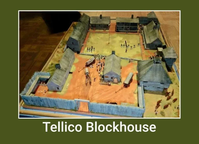 Classes & Presentations — Public Library at Tellico Village