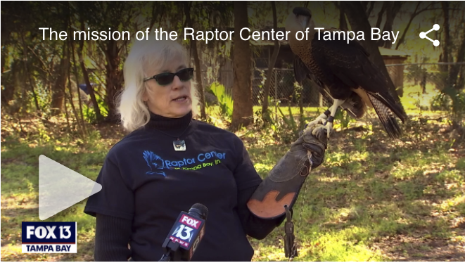 Raptor Center of Tampa Bay