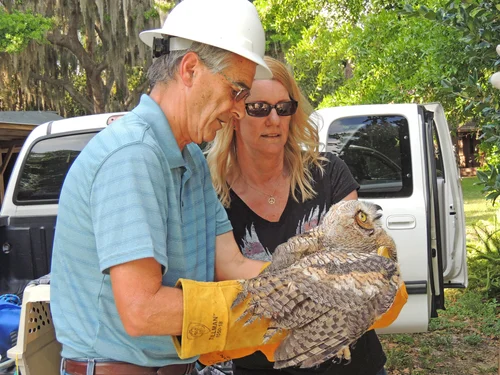 Raptor Center of Tampa Bay