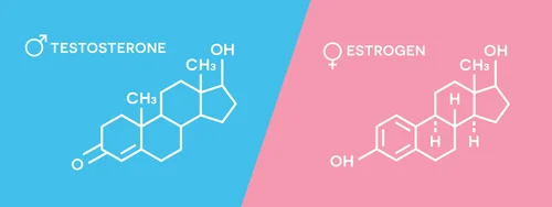 The Importance of Androgen Levels for Hair, Skin, and Health
