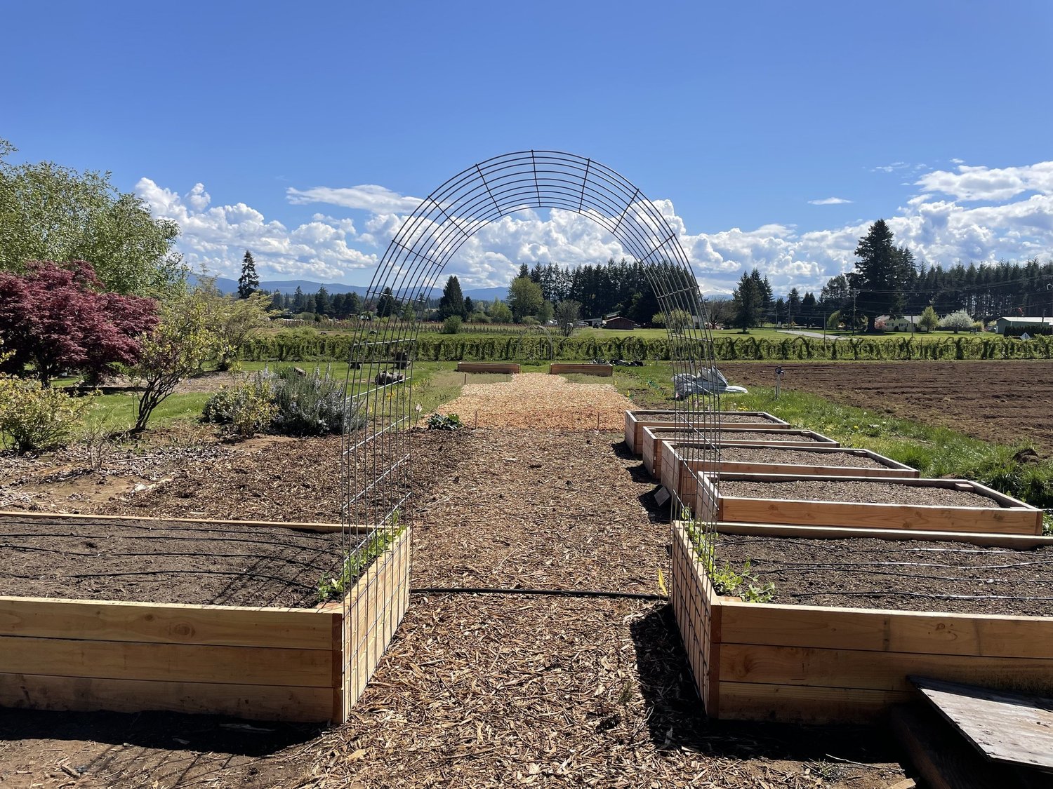 General 4 — Thimbleberry Collaborative Farm