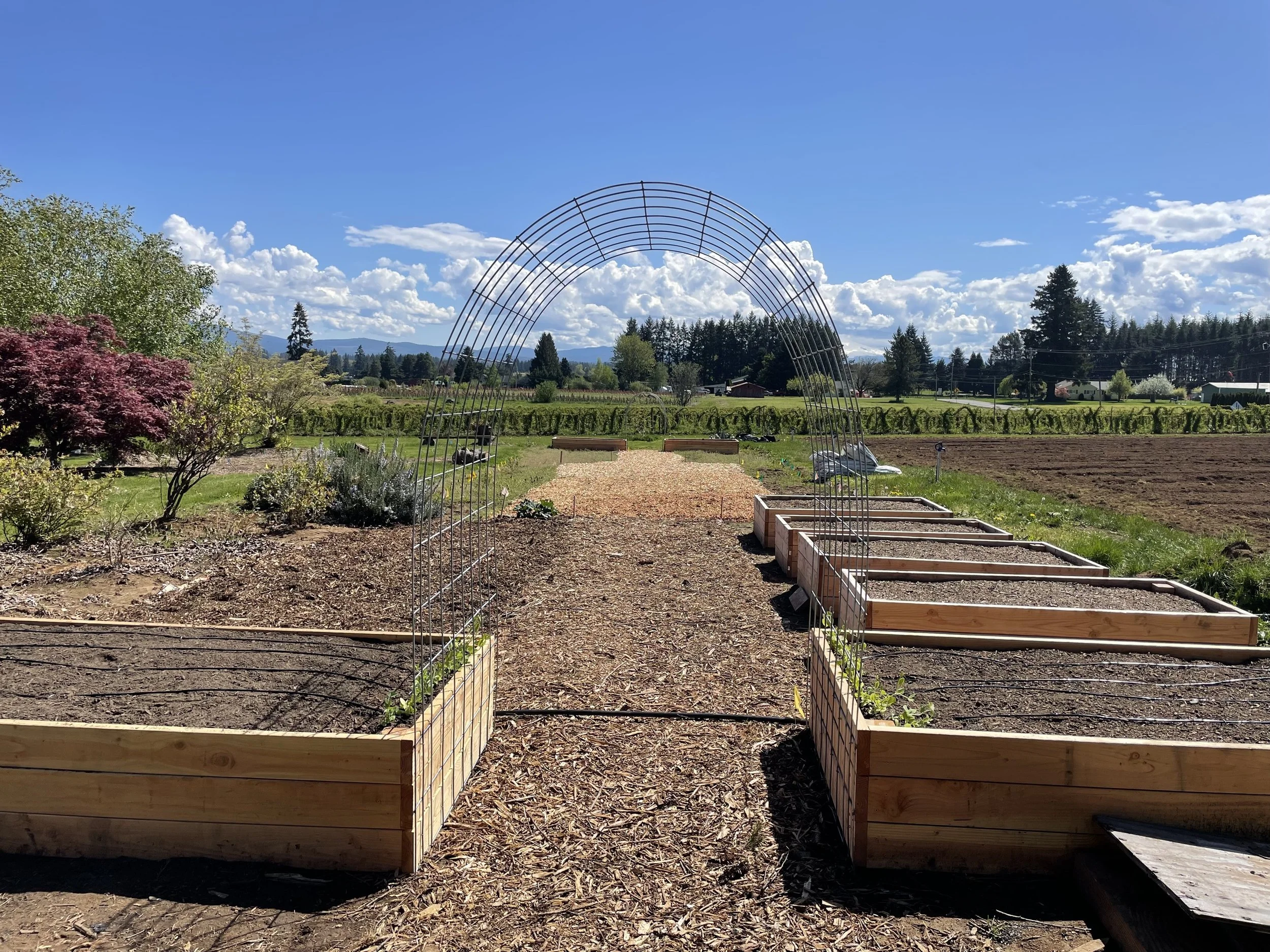 General 4 — Thimbleberry Collaborative Farm