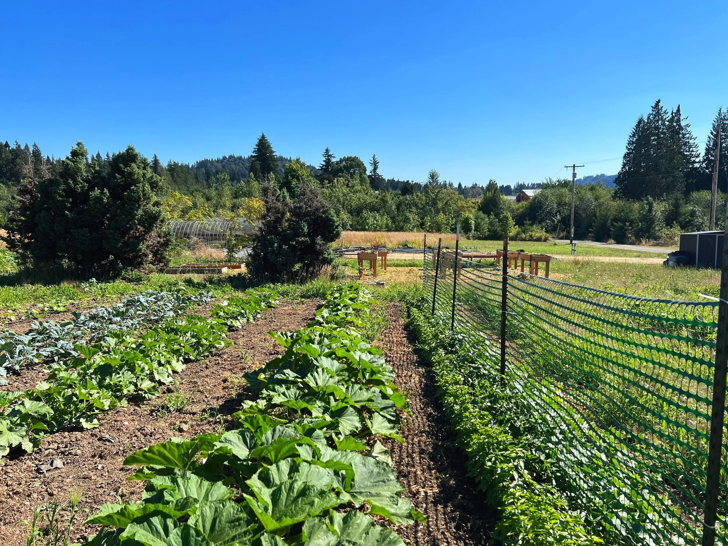 Resources — Thimbleberry Collaborative Farm