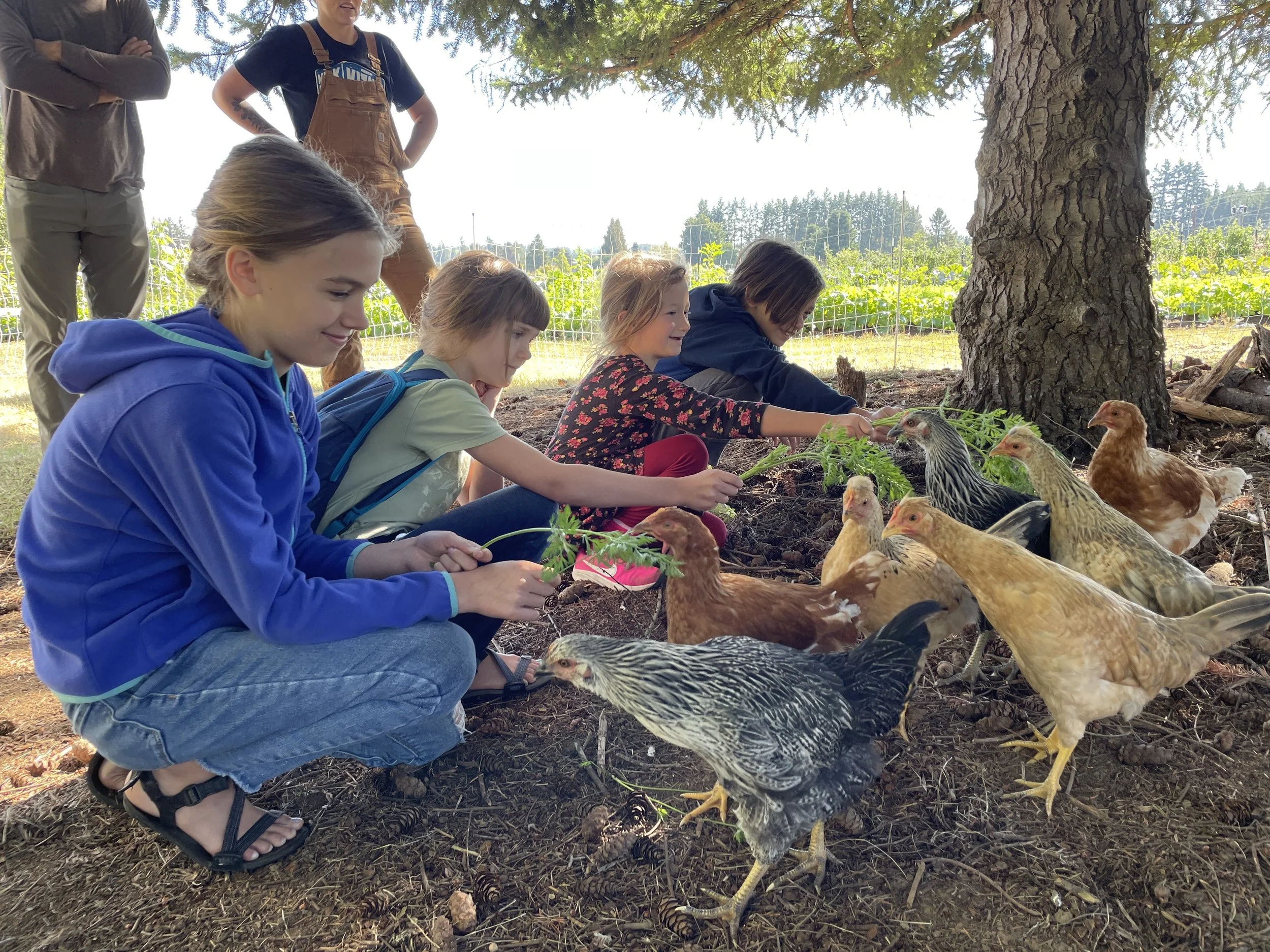 Thimbleberry Collaborative Farm