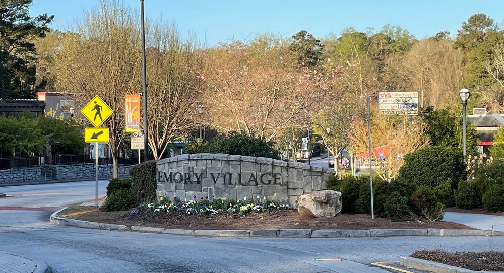 Student EVA board member application — Emory Village Alliance