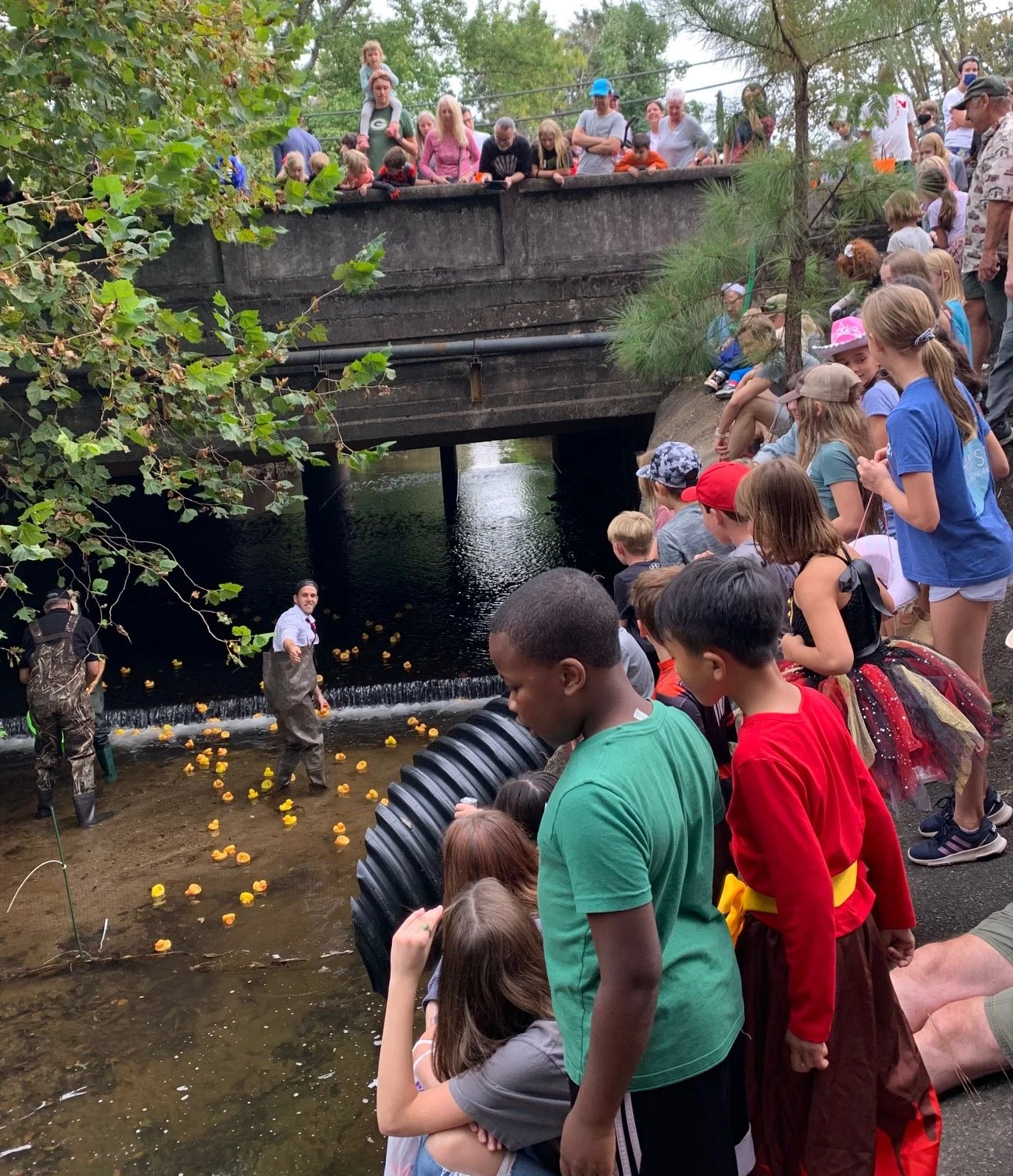 Emory Village Alliance