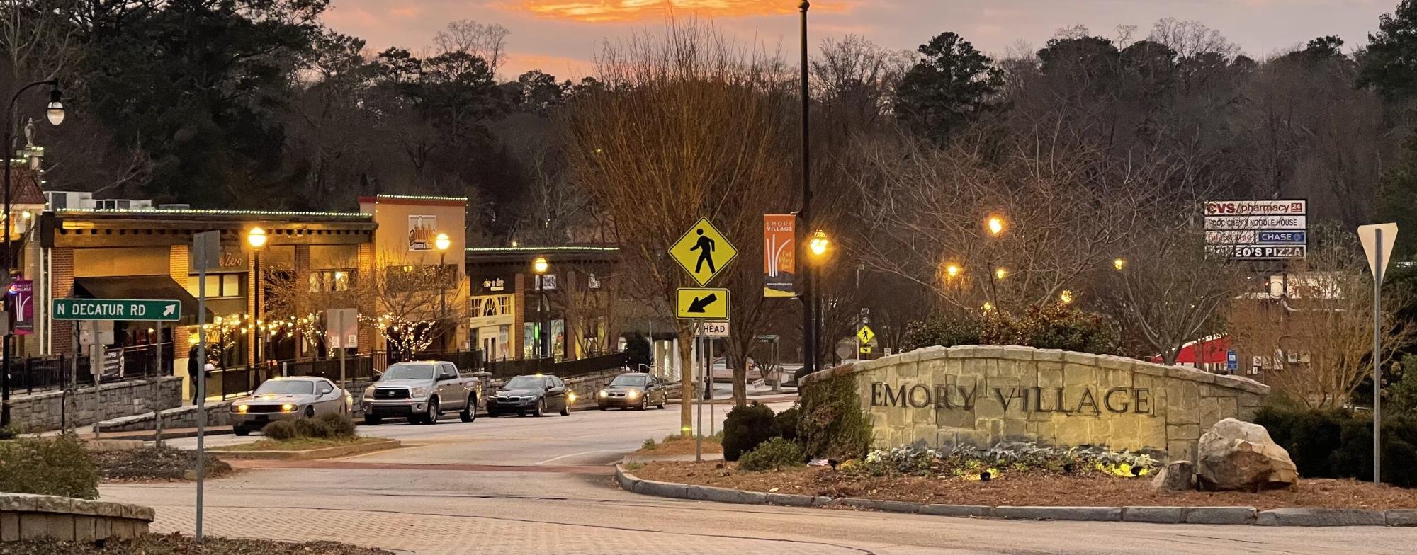 Emory Village Alliance