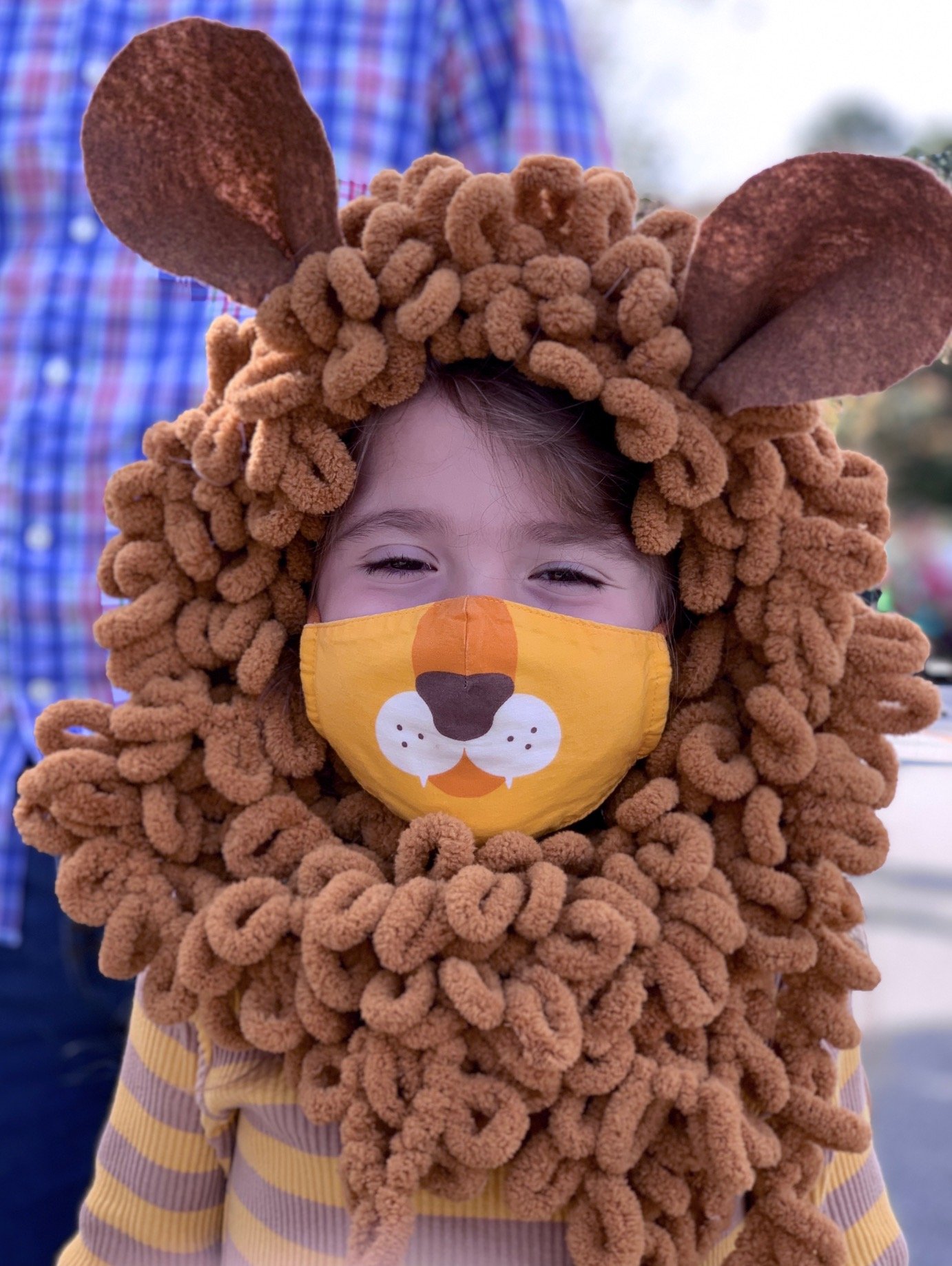 Emory Village Alliance