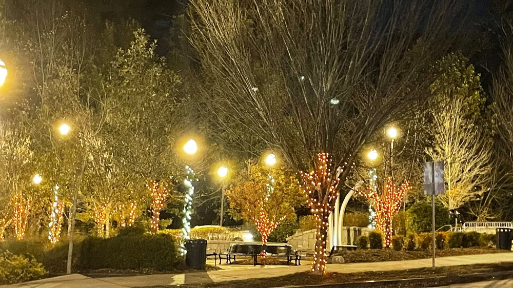 Emory Village Alliance