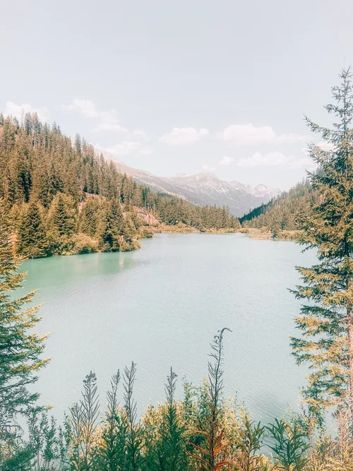 Learn Rainbow Bridge Meditation — Amalthea Coaching