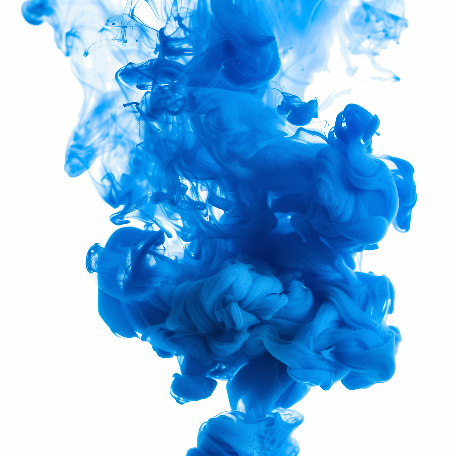 Erica Lehman, MD — Pro Health Group, Inc.