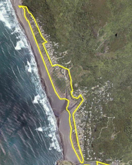 Notice of Rabbit Cull from Auckland Council — Piha R&R