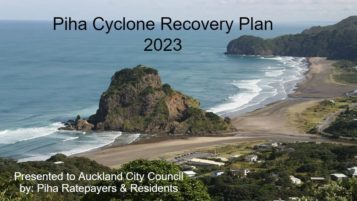 Piha Recovery Plan - Help Us Help You — Piha R&R