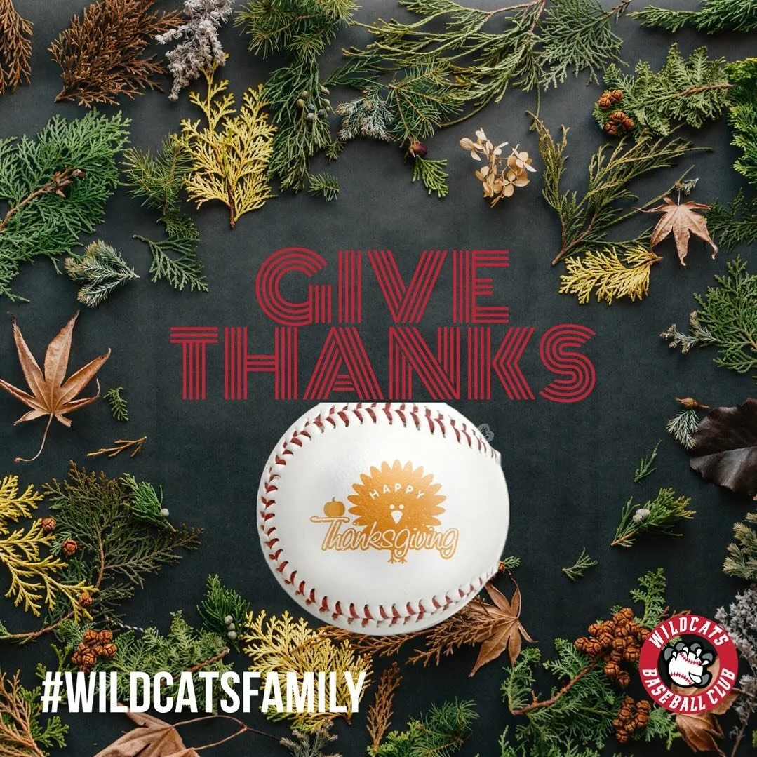 Wildcats Baseball Club