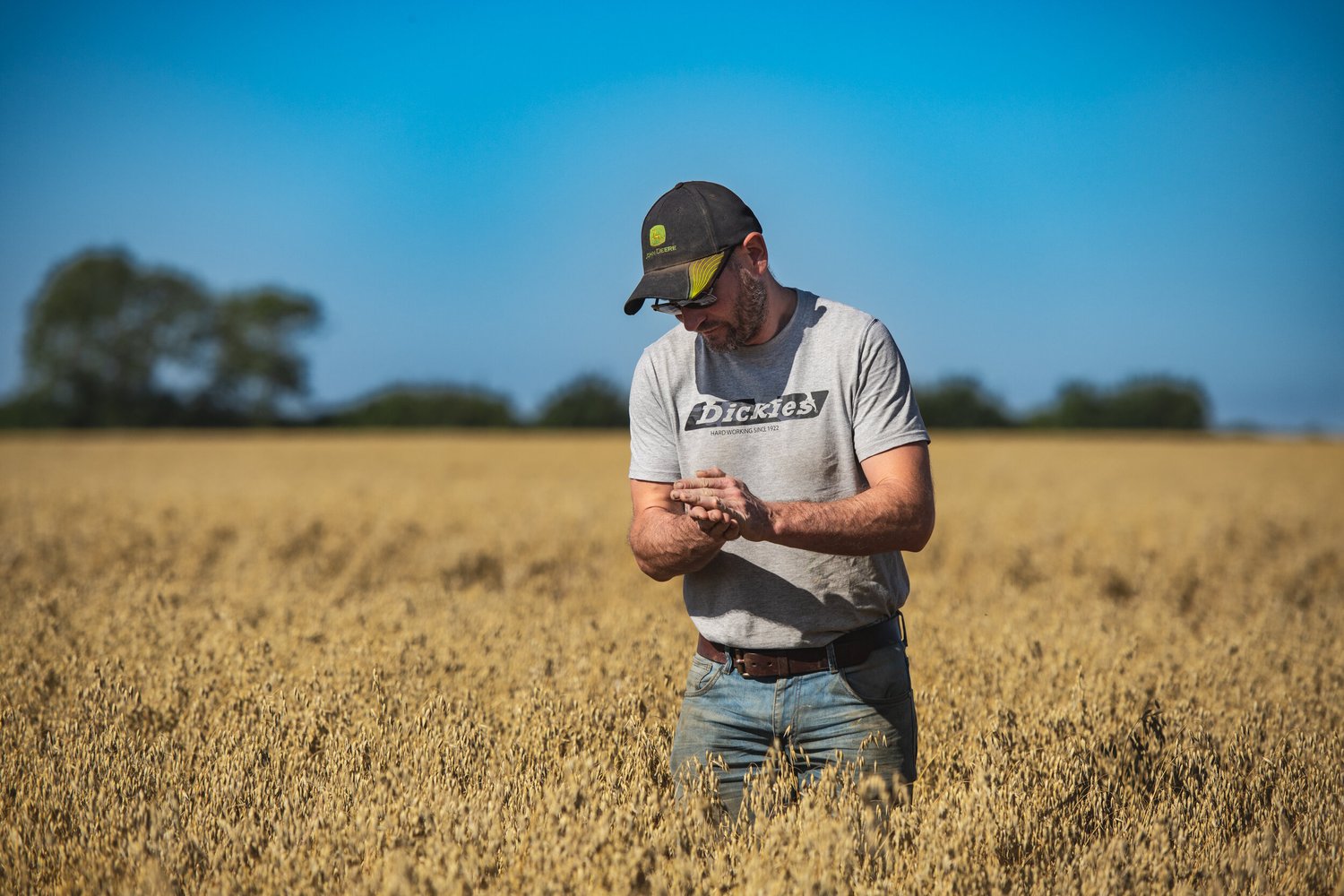 What we do on the farm — JB Farming