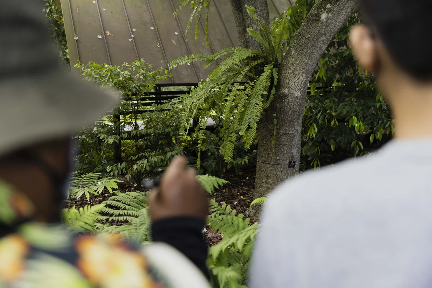 Hortherapeutics | Therapeutic Horticulture Program | Mental Wellness ...