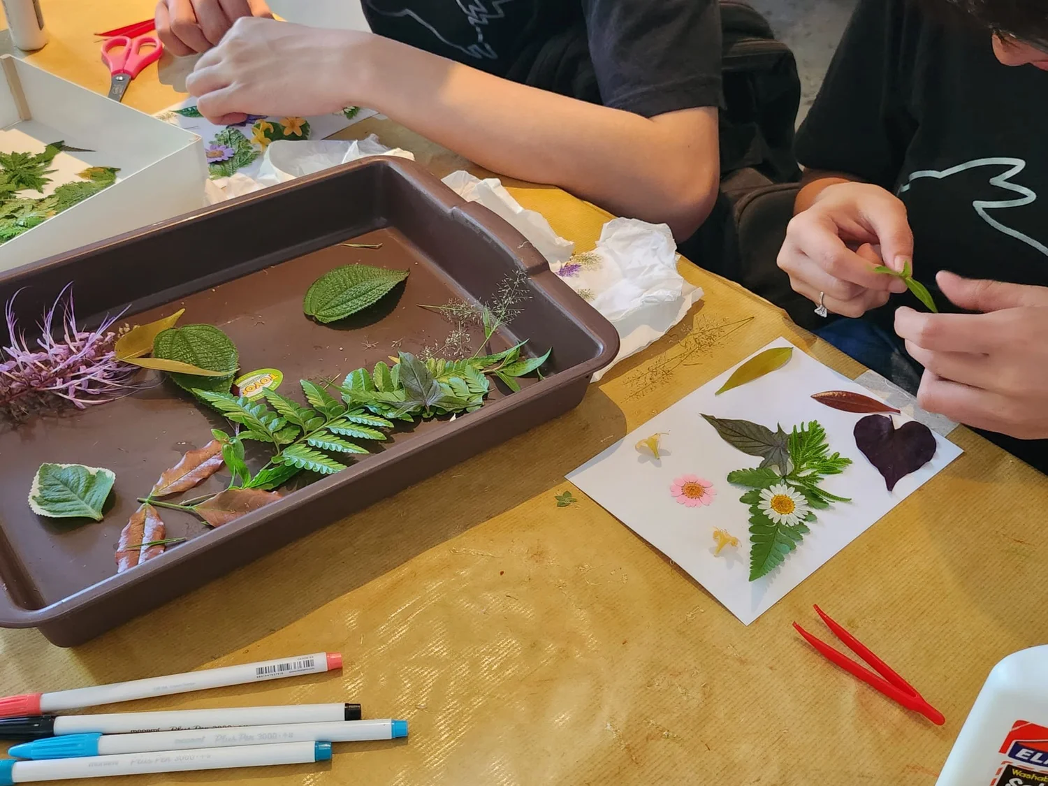 Hortherapeutics | Therapeutic Horticulture Program | Mental Wellness ...