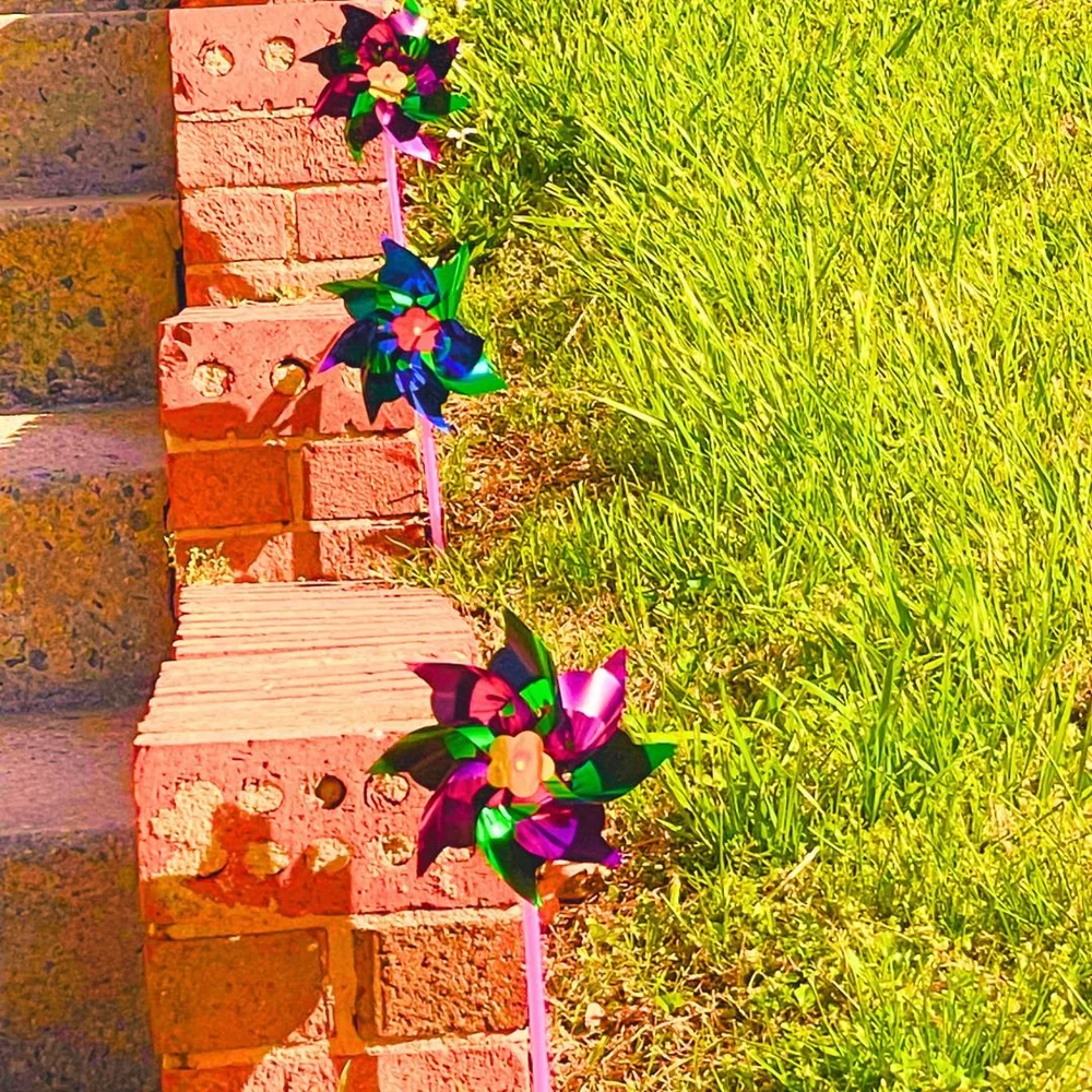 Why Kellin Foundation Plants Pinwheels for Child Abuse Prevention Month ...