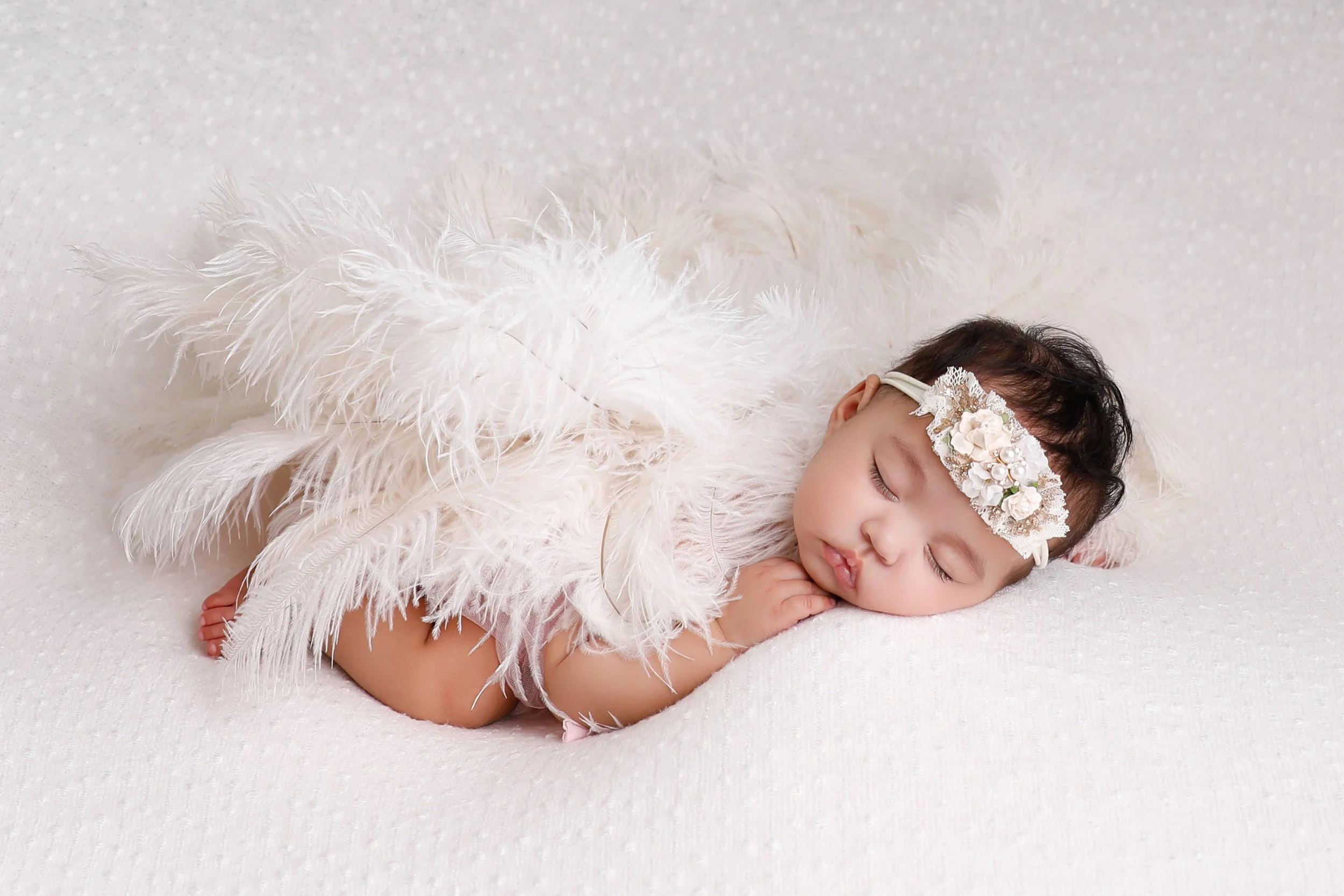 Ana Brandt Photography Session Store — Ana Brandt