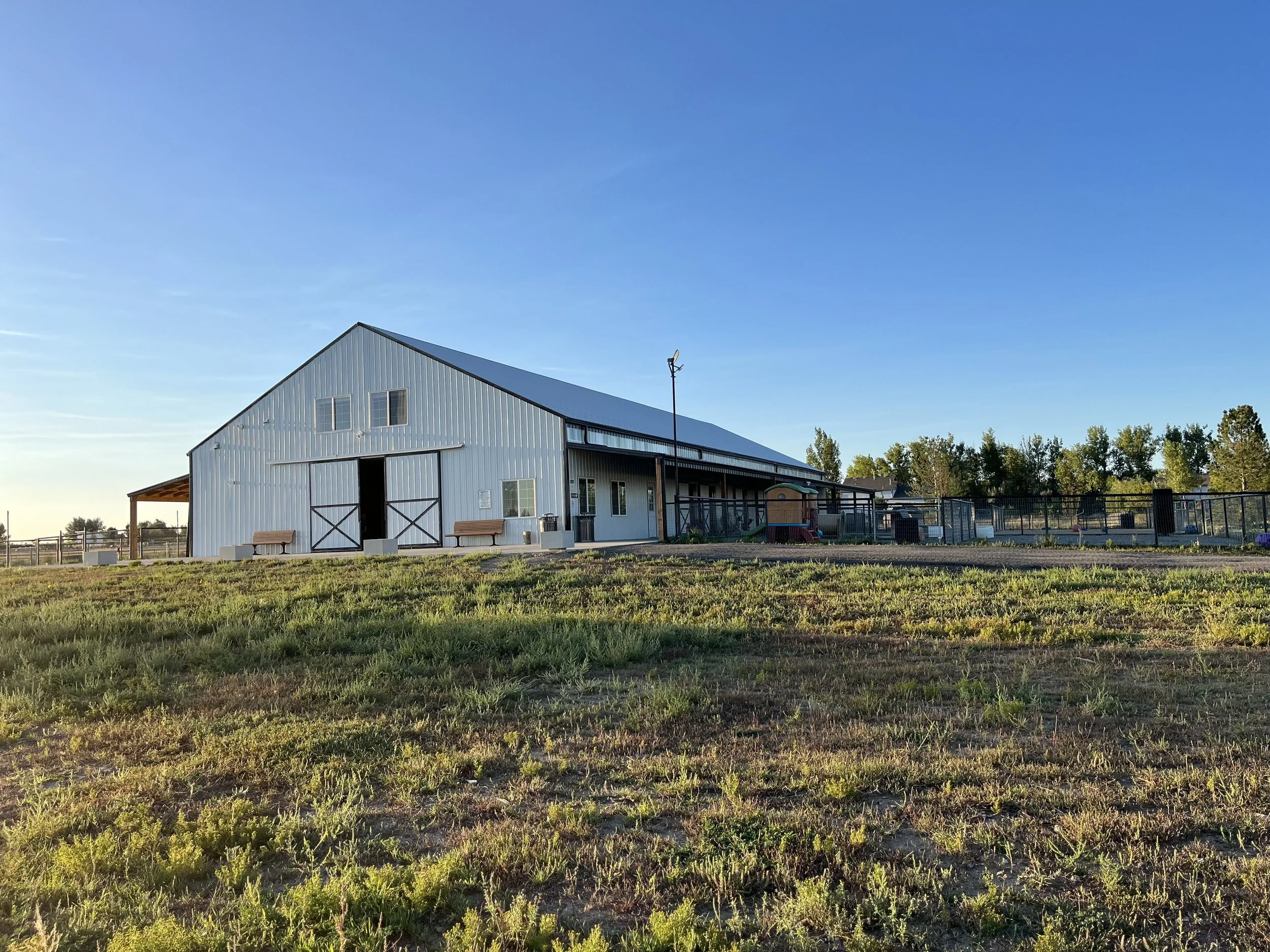 Lil' Buckaroo's Farm