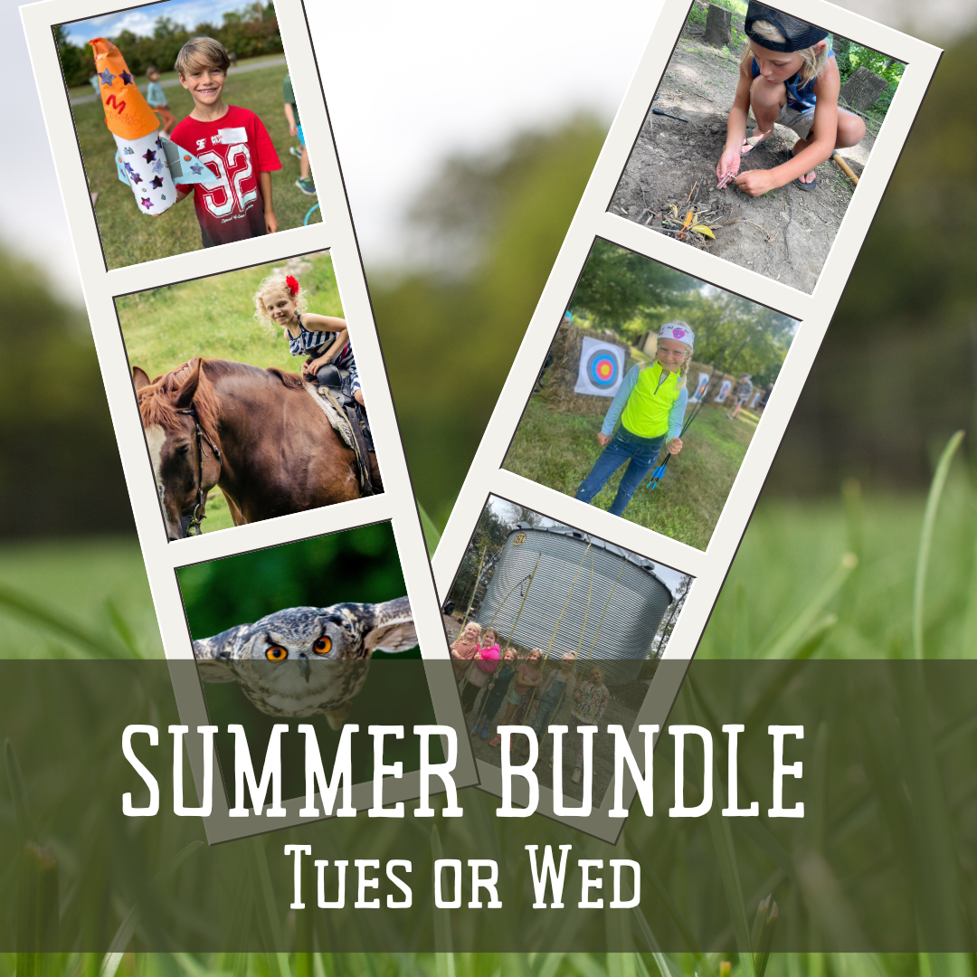 Camps offered for Ages 5.5-11 — Project Wild Rooted- Nature Based ...