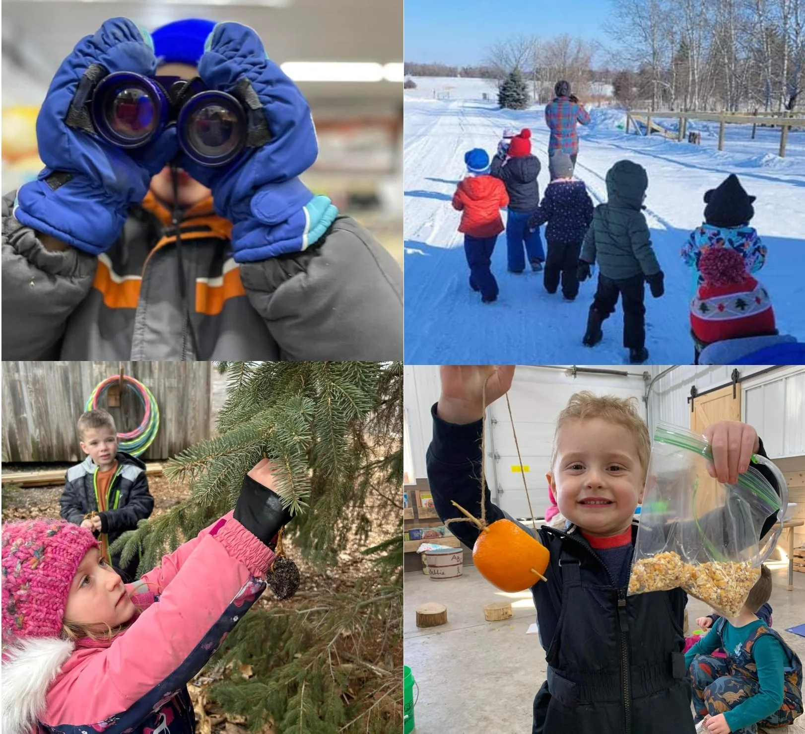 Discover the Magic of Winter Birding with Kids — Project Wild Rooted ...