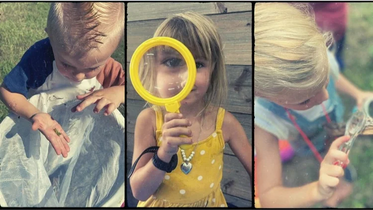 The Benefits of Bugs for Kids — Project Wild Rooted- Nature Based ...