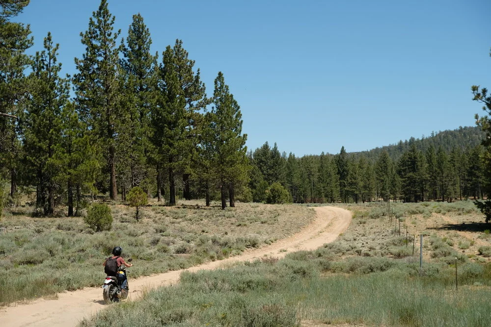 Holcomb Valley Ranch | Spacious Tent & RV Campsites Big Bear, CA