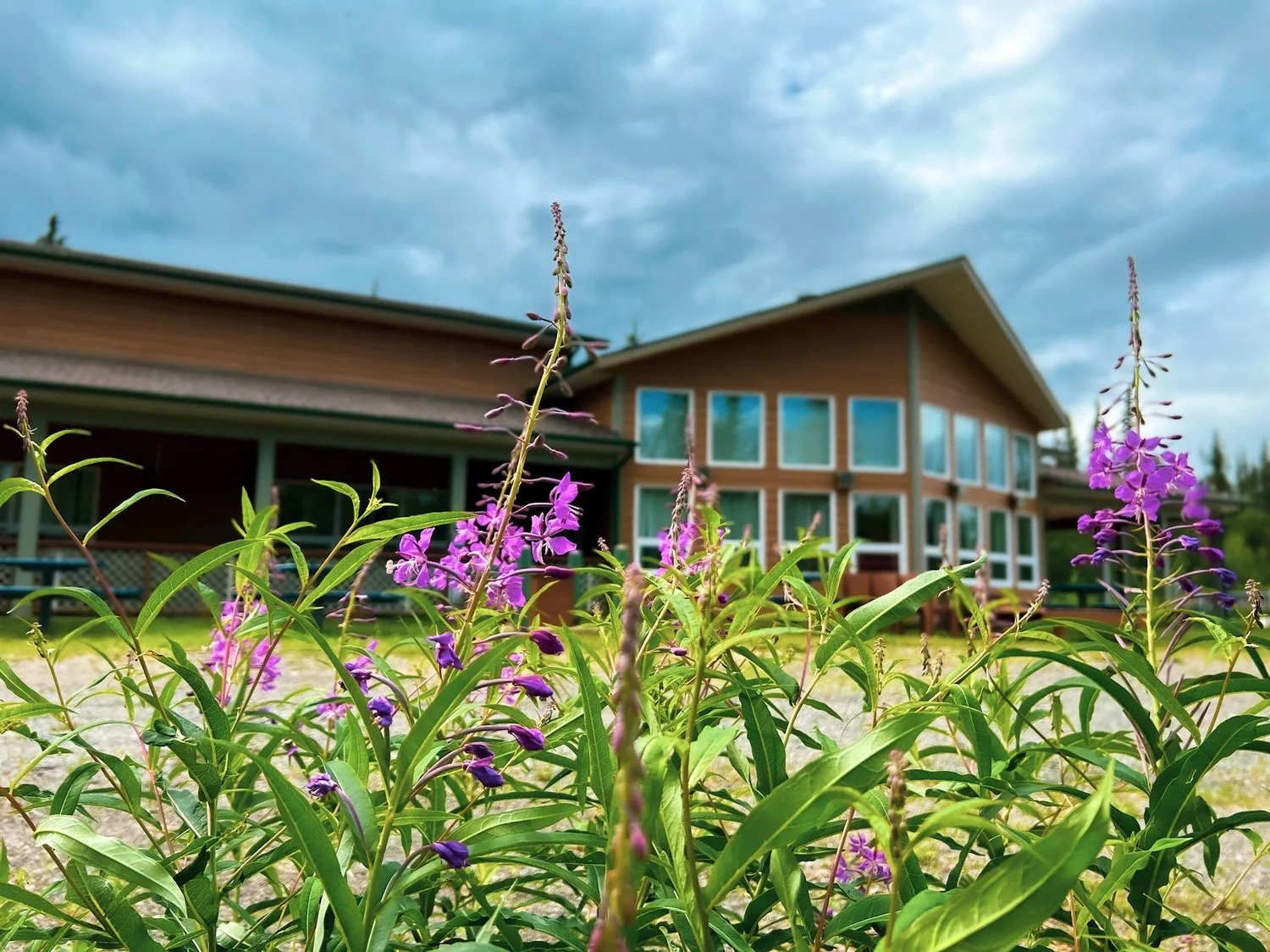 The Community of Marsh Lake