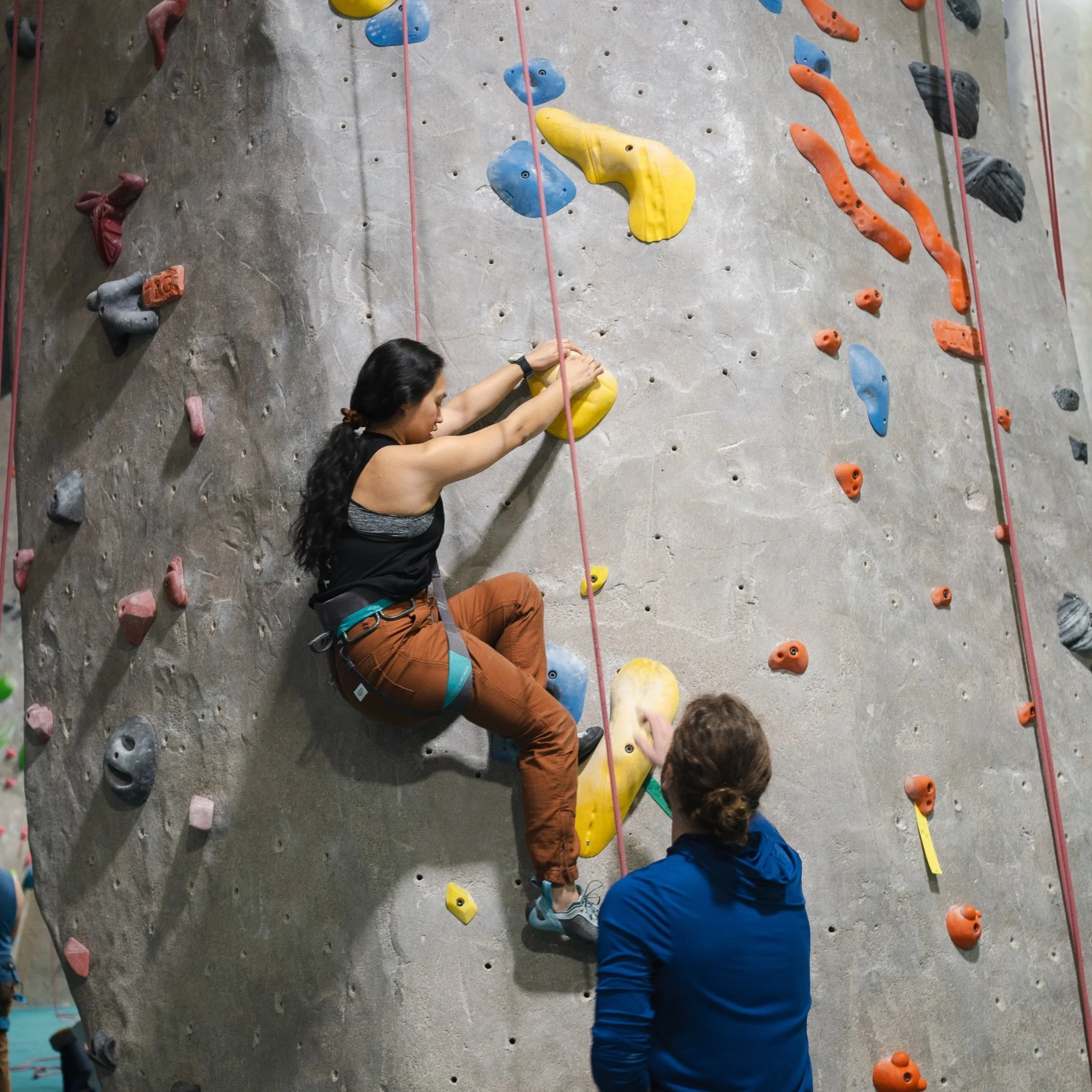 Day Rates | Experience Climbing Today! — ClimbCap
