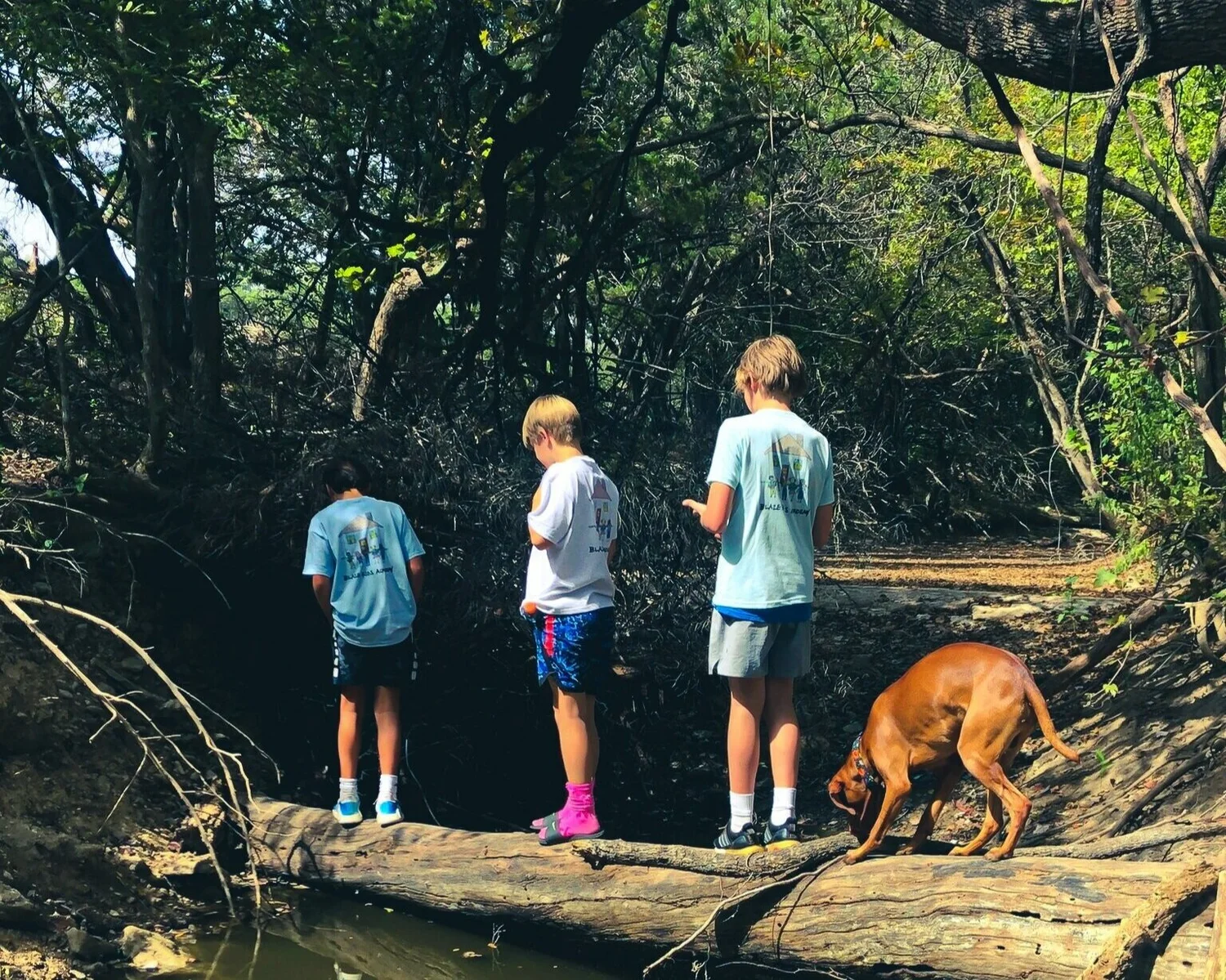 Holistic Education & Experiential Learning for Grades 3-8