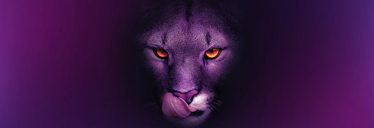 Pounce™ Thrombectomy System