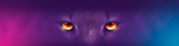 Pounce™ Thrombectomy System