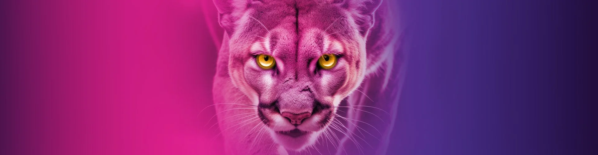 Product — Pounce™ Thrombectomy System