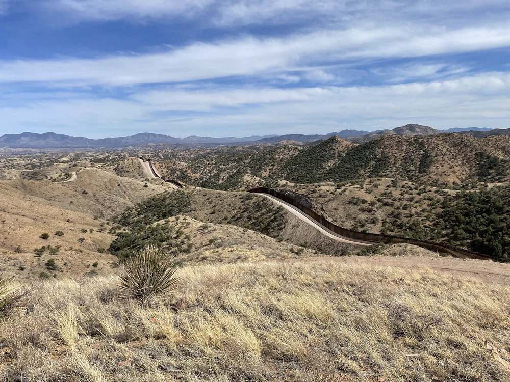 Safe Roads for Wildlife — Wildlands Network - Biodiversity Conservation ...